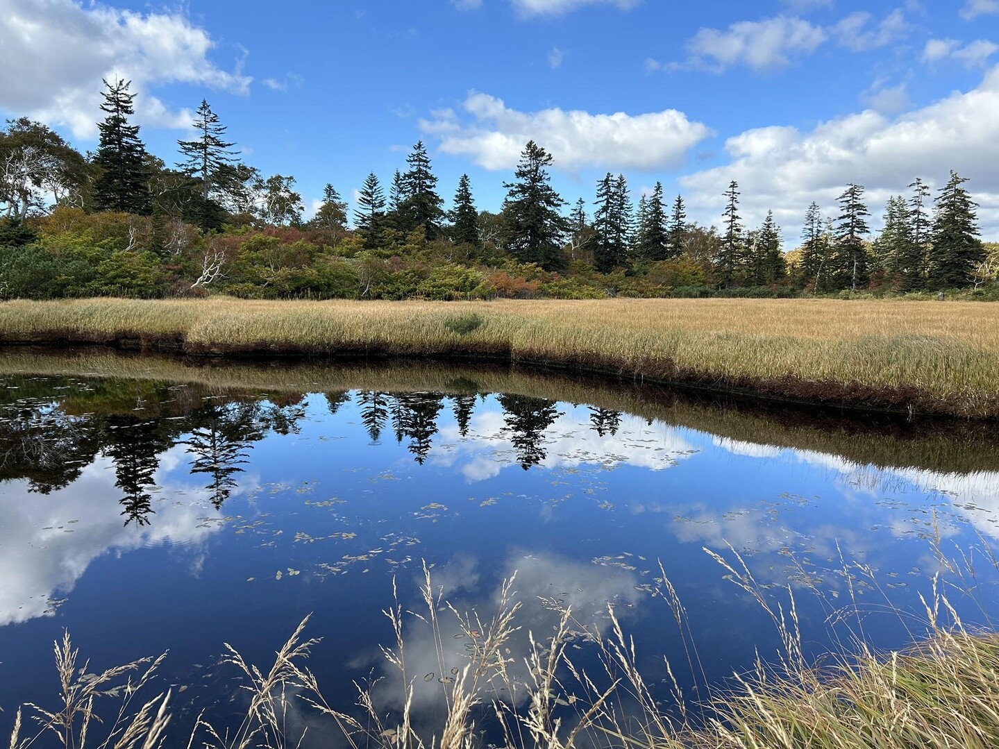 2024-09-29 神仙沼 湖面反射の美しさ / tenさんのウォーキングの活動データ | YAMAP / ヤマップ