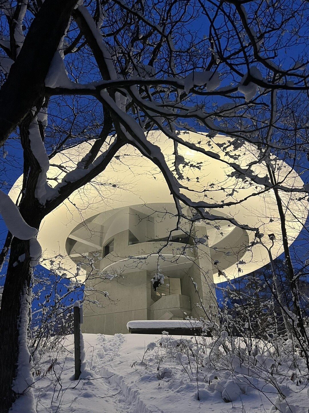 岩山100mile 初のDNF、己の弱さを知る / ヨコイチさんの盛岡市の活動データ | YAMAP / ヤマップ