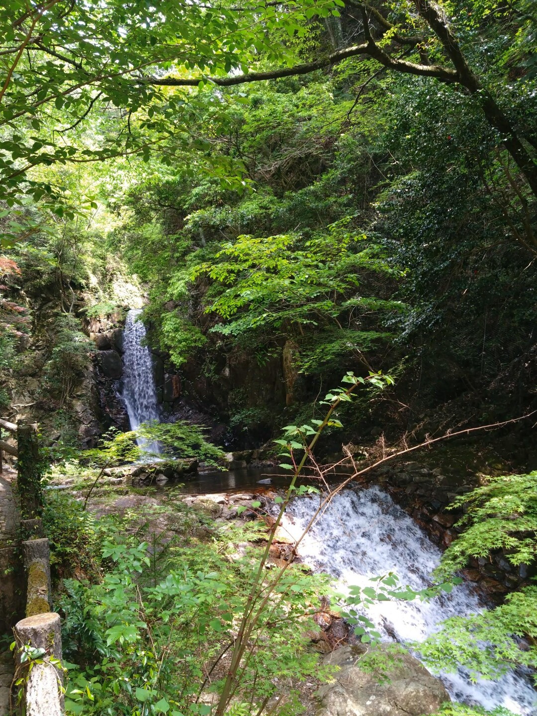 有馬温泉 鼓ヶ滝まで散策 鱒池のフェンス... / kinu235（きぬ）さんのモーメント | YAMAP / ヤマップ