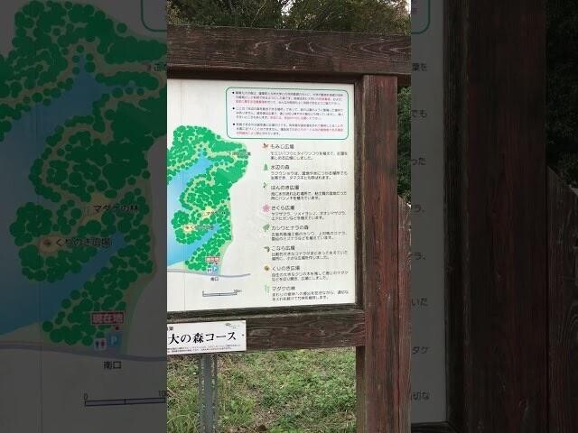 【YouTubeのむさん登山日記】幻の初... / のむさんさんのモーメント | YAMAP / ヤマップ