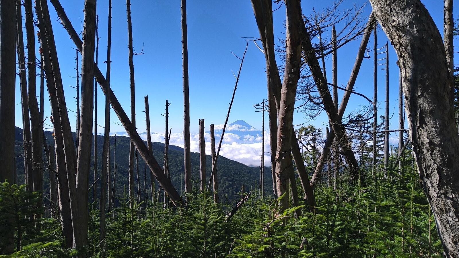 金峰山・国師ヶ岳 / DDH-183さんの瑞牆山・金峰山の活動データ | YAMAP / ヤマップ
