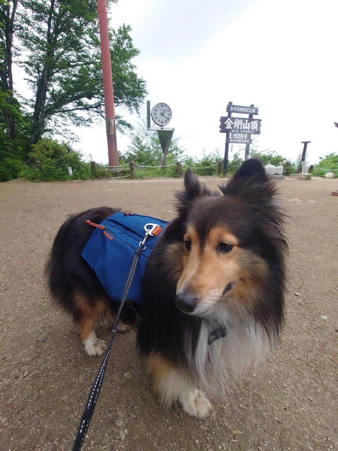 金剛山・葛木岳・湧出岳 / Teddyさんの金剛山・二上山・大和葛城山の活動データ | YAMAP / ヤマップ