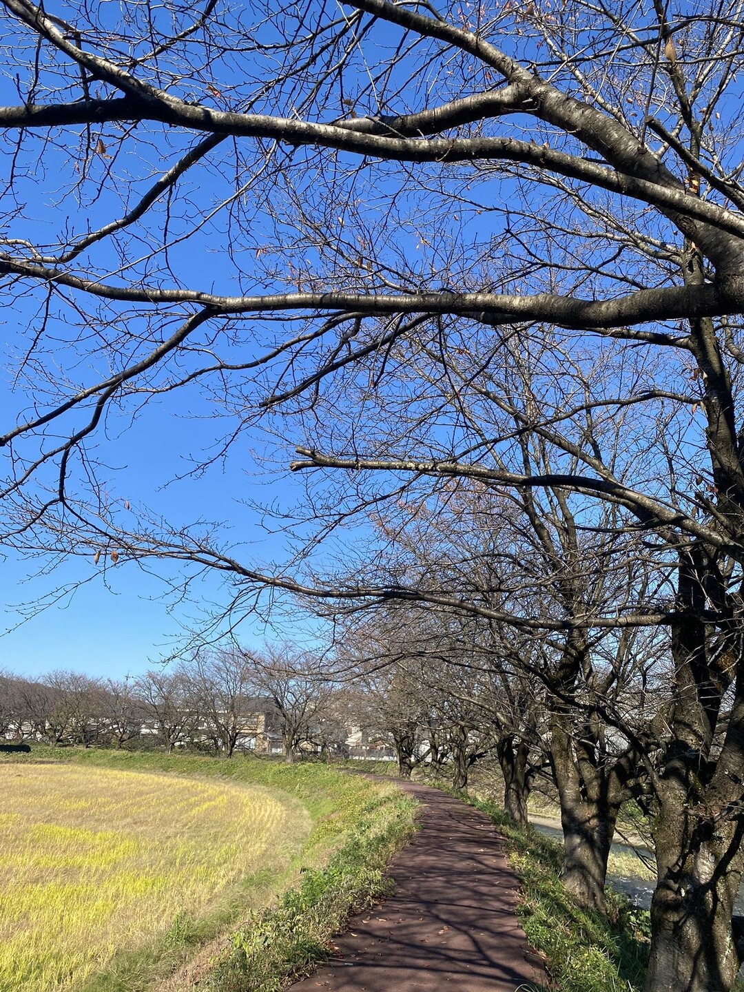 ️ 小雪 ️ 11月22日は、二... / meshiさんのモーメント | YAMAP / ヤマップ