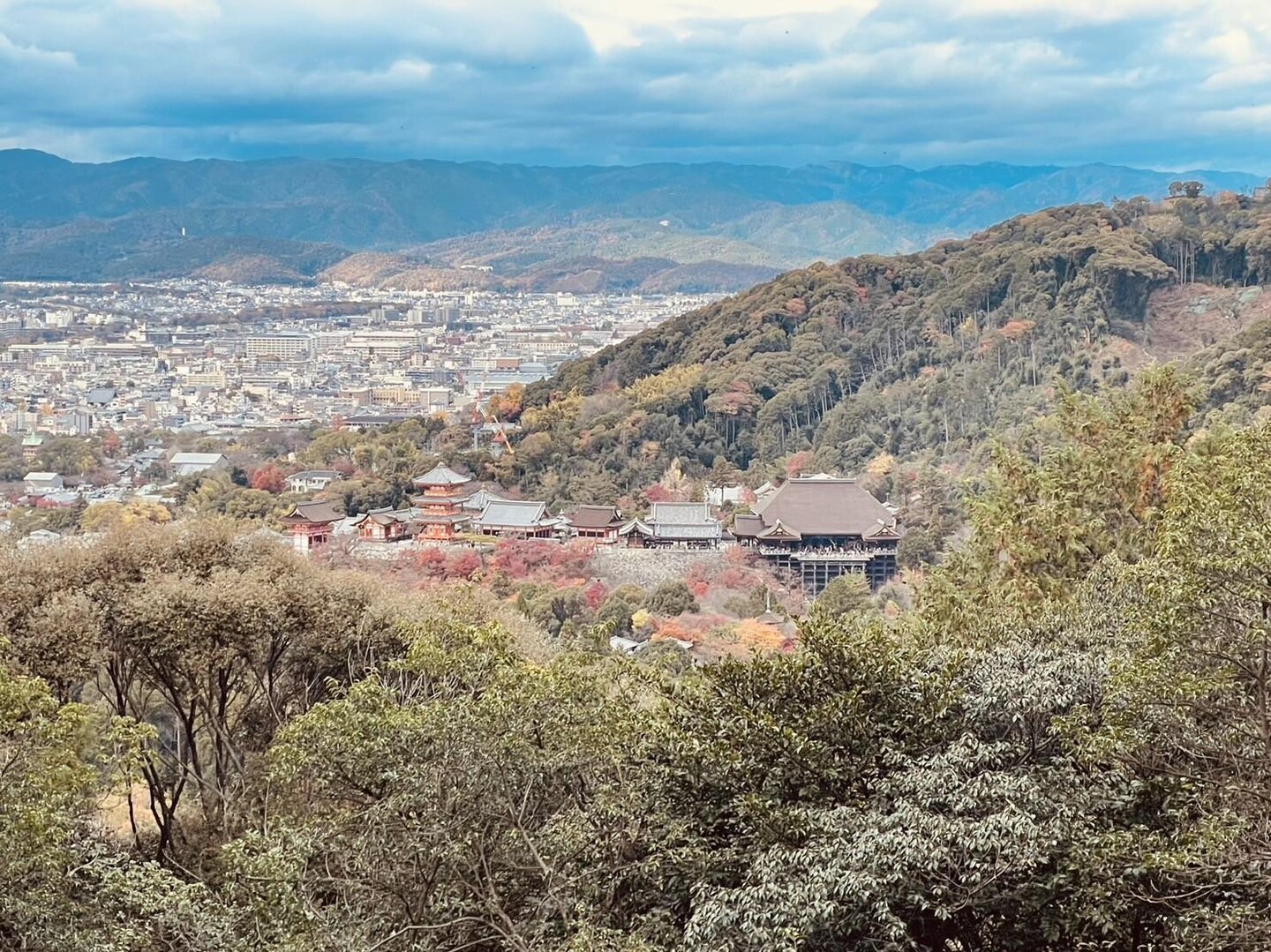 東山・清水山・清閑寺山・今熊野山・阿弥陀ヶ峰 / さっでぃさんの音羽山・醍醐山の活動データ | YAMAP / ヤマップ