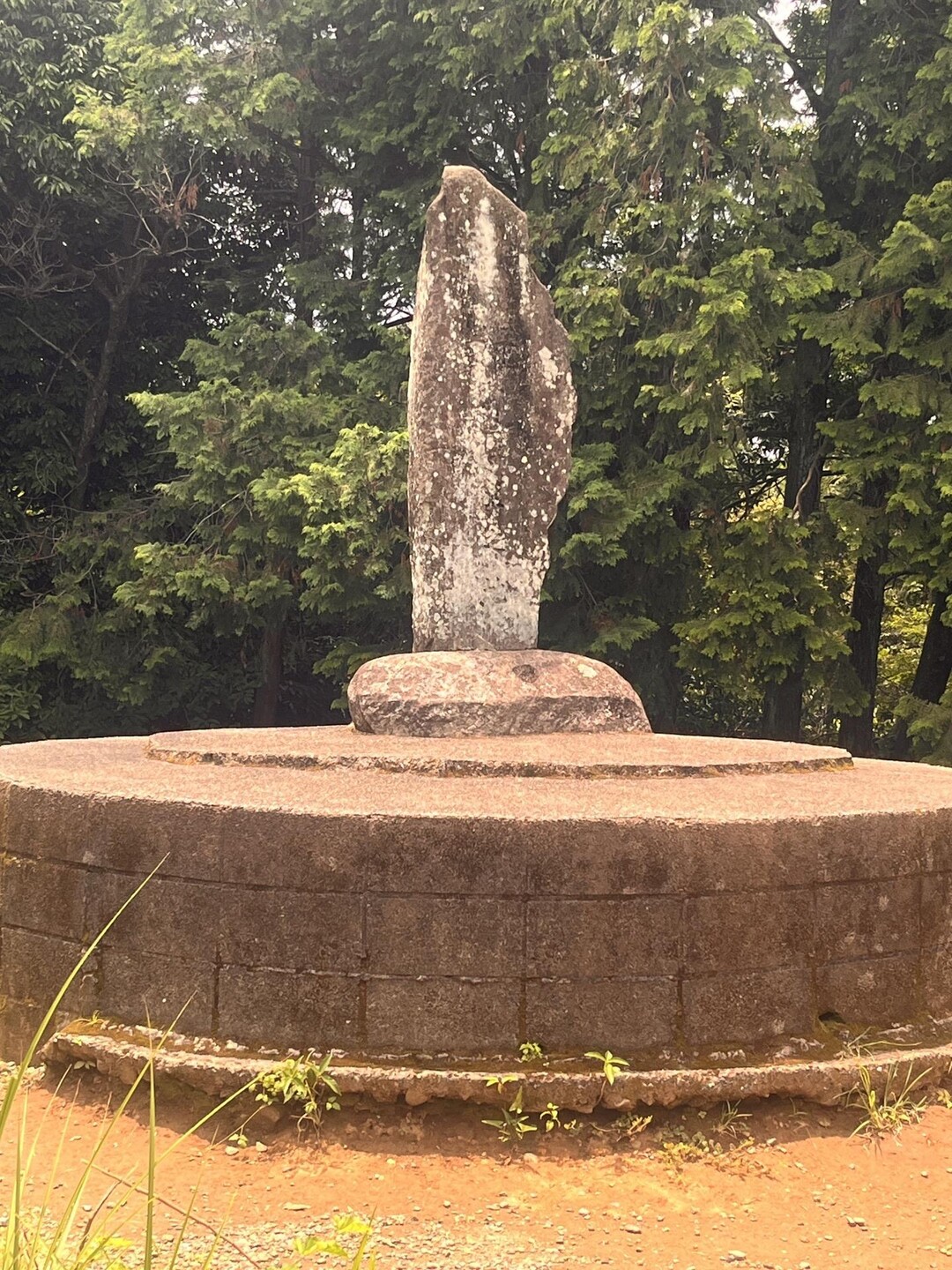 立田山-2024-6-19 / kaz@Tak2さんの立田山の活動データ | YAMAP / ヤマップ