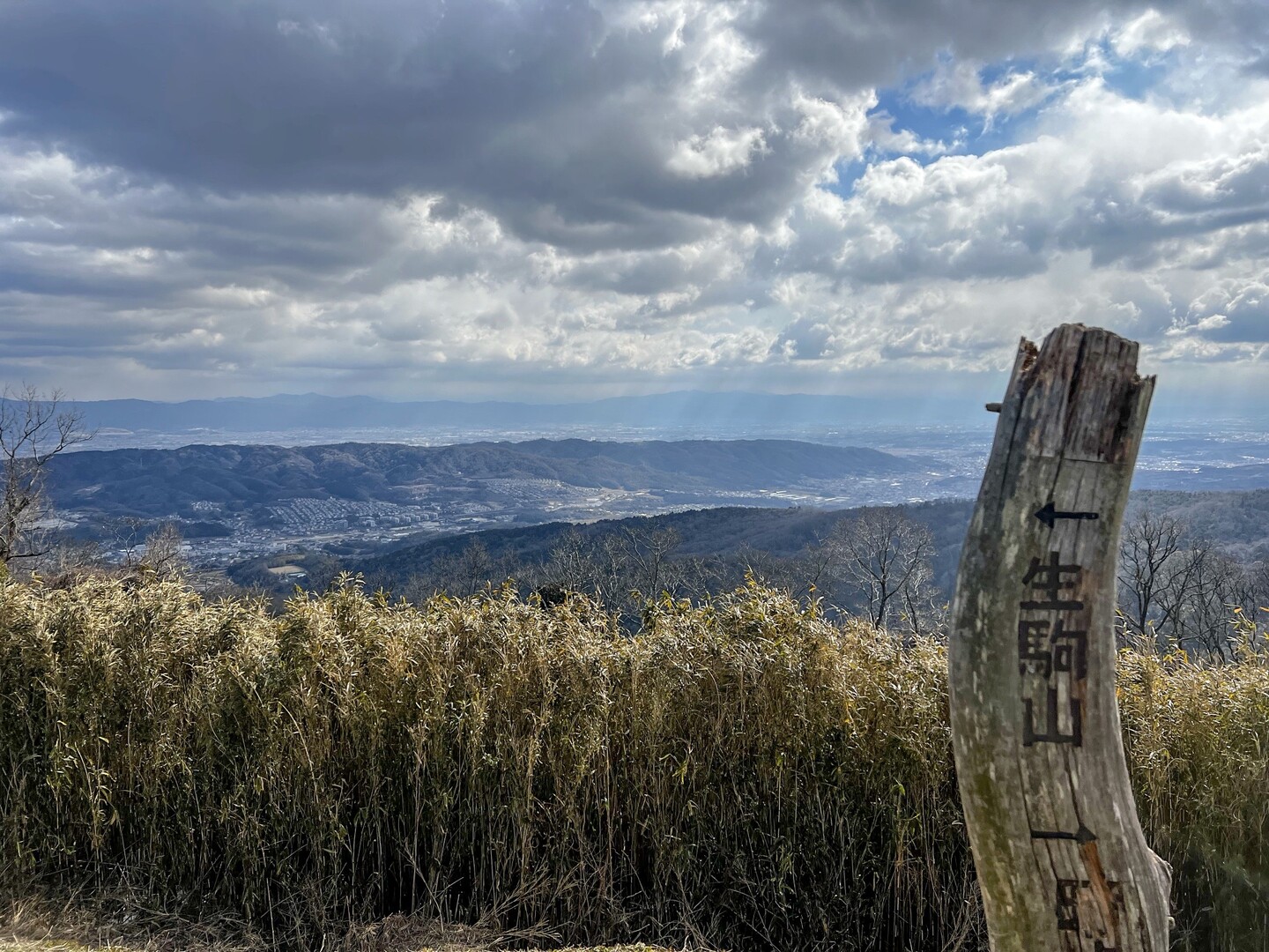 生駒山 / kobuta さんの生駒山・神津嶽・大原山の活動データ | YAMAP / ヤマップ