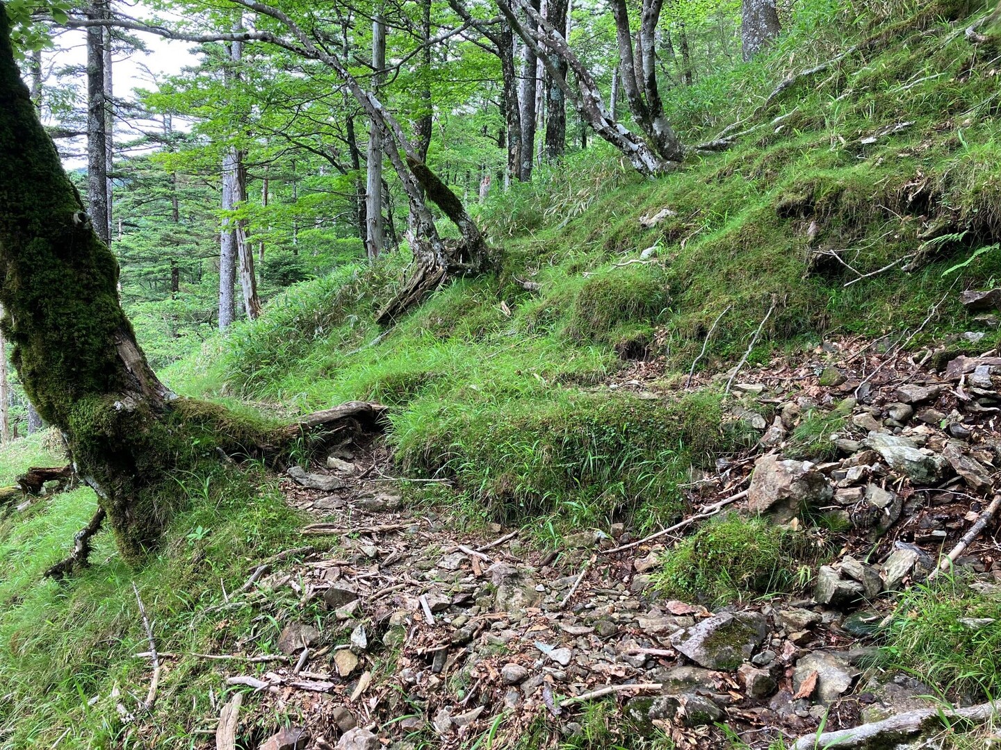 タダシさんの投稿したフィールドメモ | YAMAP / ヤマップ