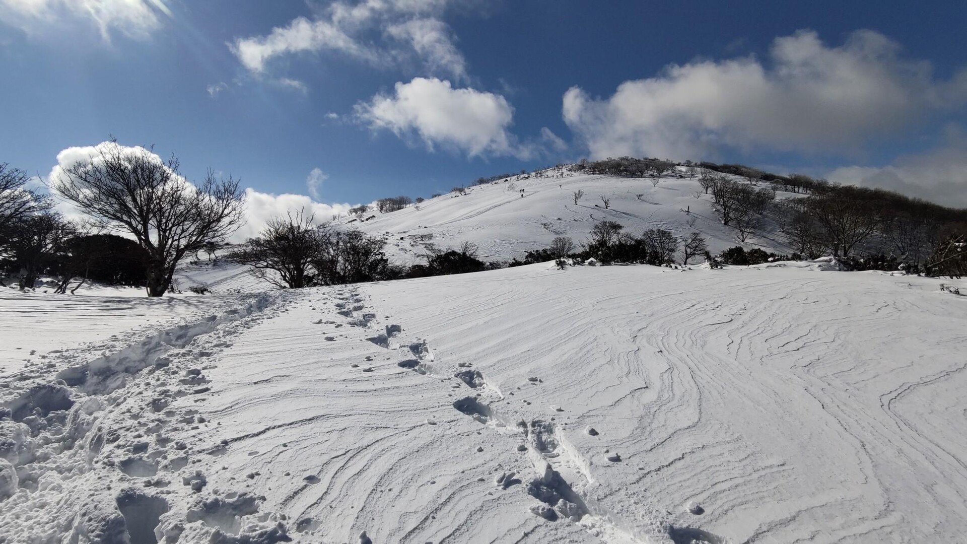 藤原岳 / モンチGf🙊さんの藤原岳・御池岳の活動データ | YAMAP / ヤマップ