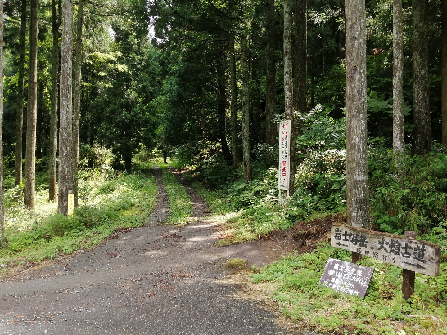 富士写ヶ岳（大内谷） / moko5さんの富士写ヶ岳・小倉谷山・火燈山の活動日記 | YAMAP / ヤマップ