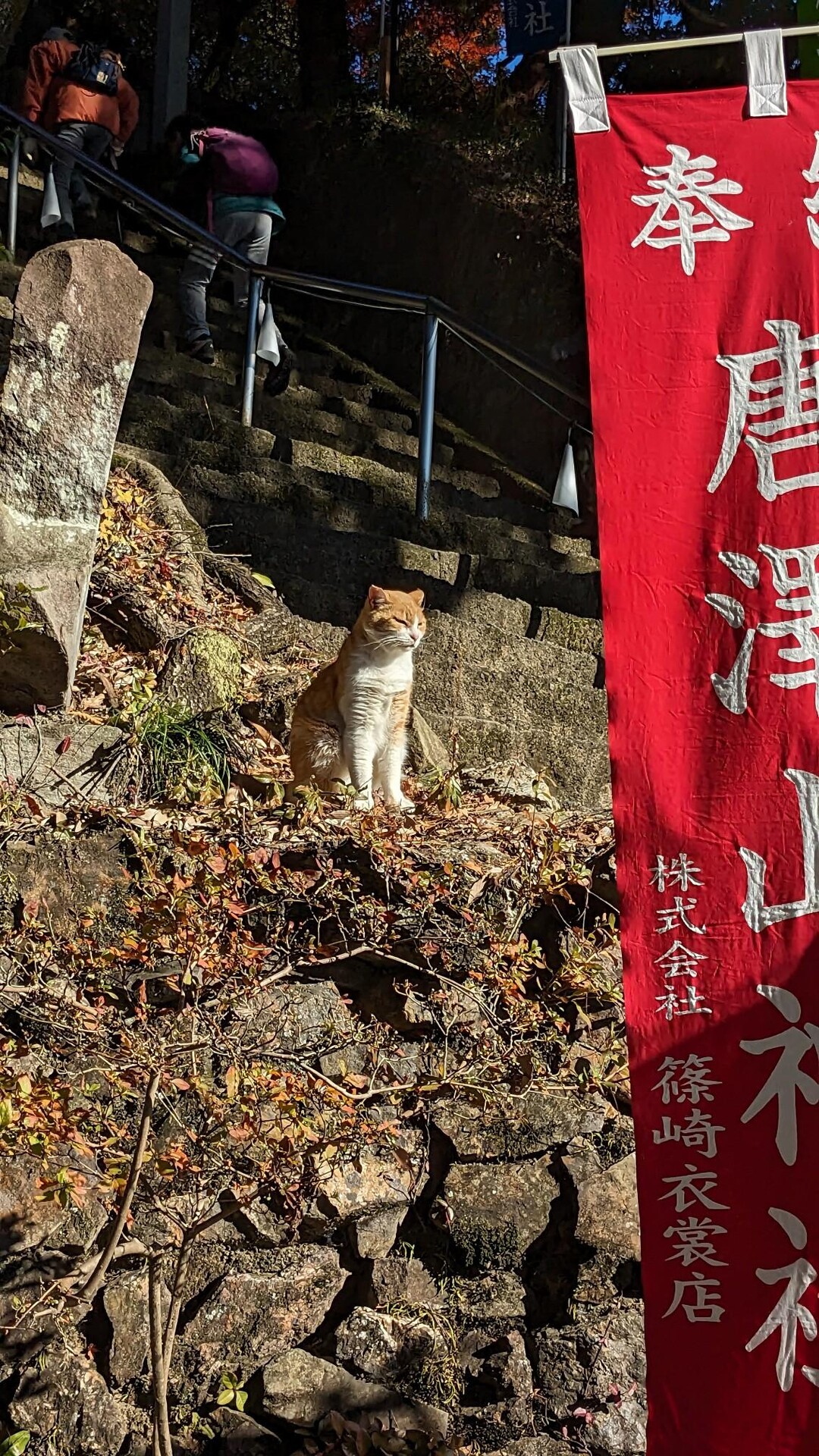 紅葉が見頃の唐澤山→高鳥山→浅間山へ / noraさんの三毳山の活動データ | YAMAP / ヤマップ