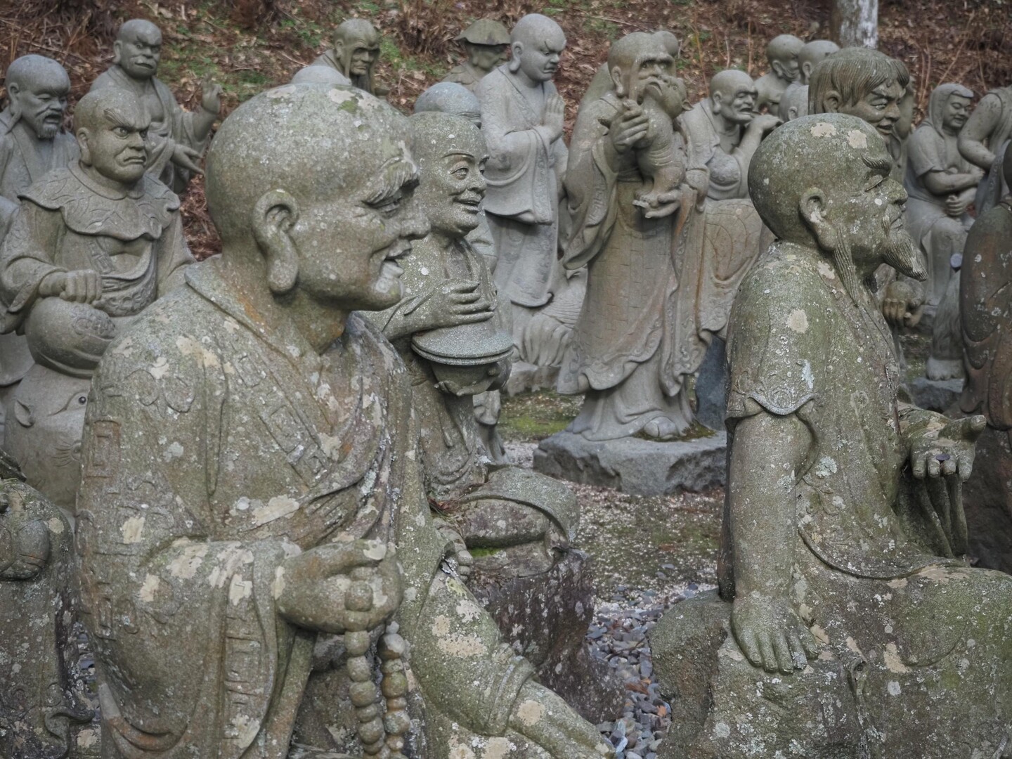 雲辺寺山 / h3さんの雲辺寺山の活動データ | YAMAP / ヤマップ