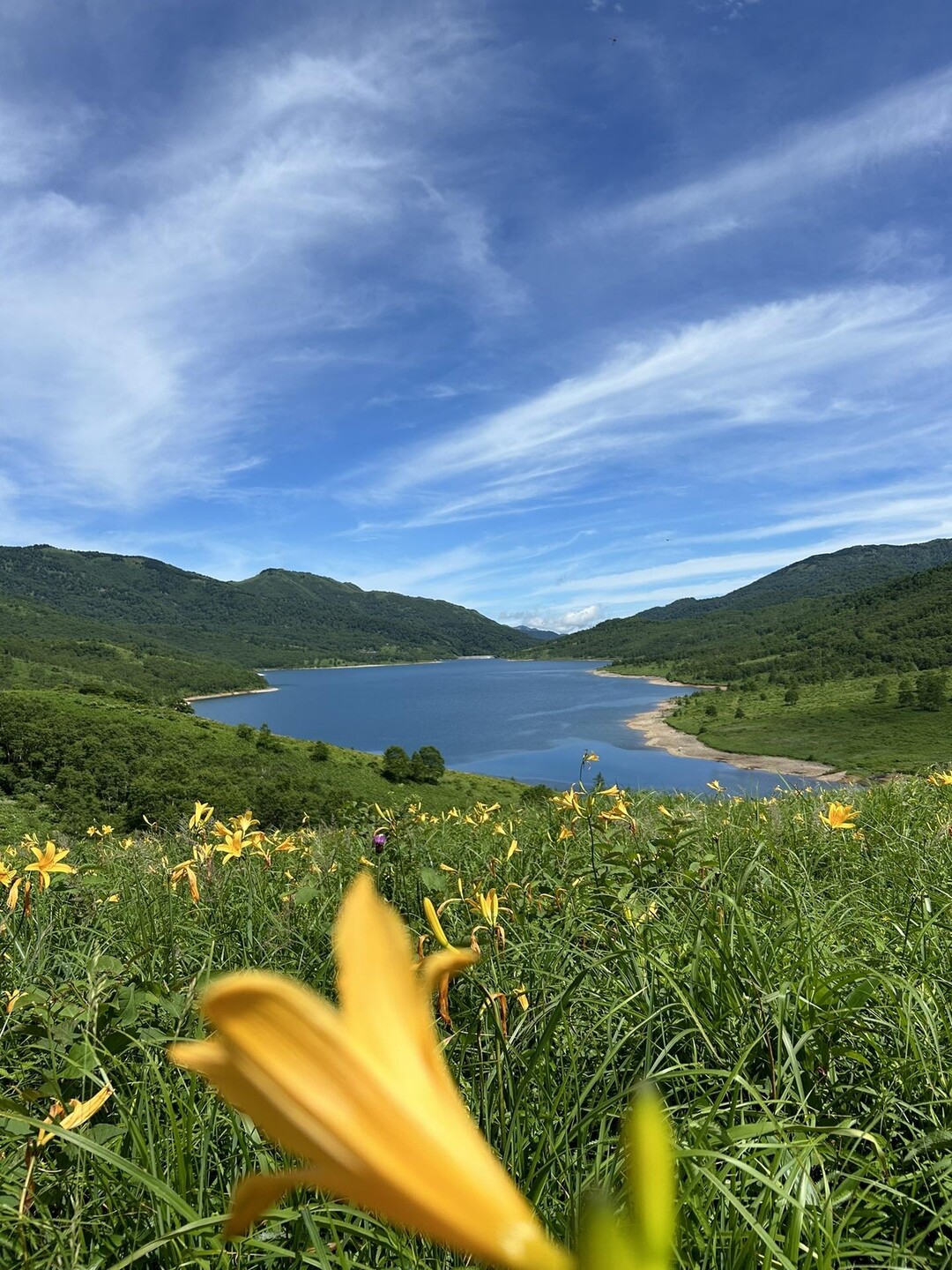 八間山 / eri.hさんの白砂山・堂岩山・八間山の活動データ | YAMAP / ヤマップ