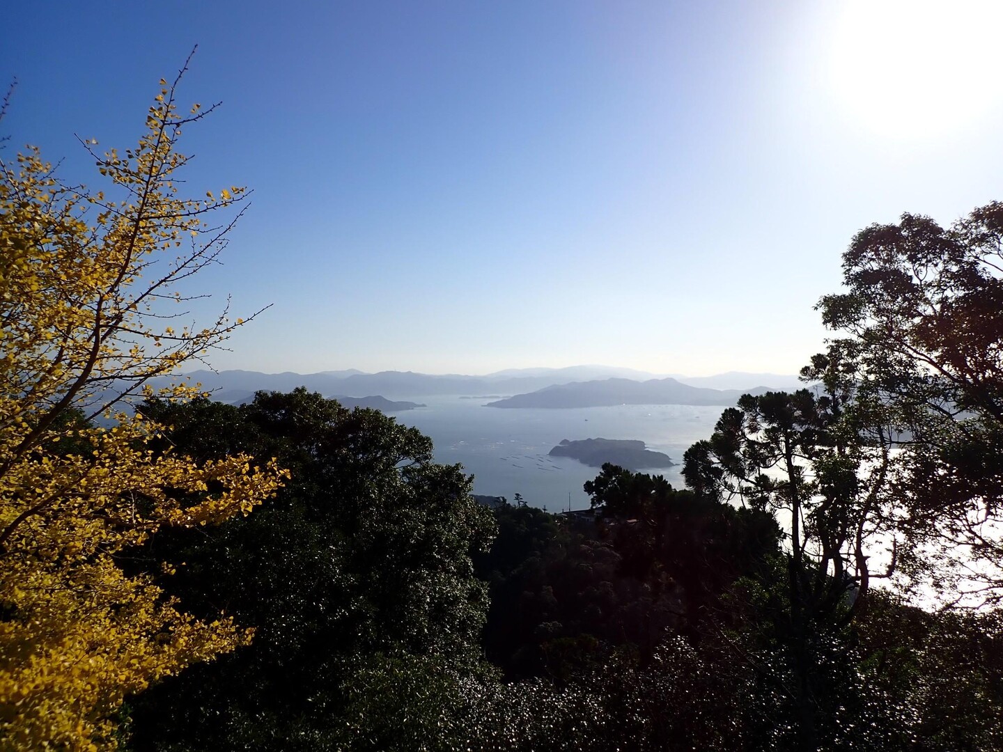 弥山 / moneさんの宮島（厳島）・弥山の活動データ | YAMAP / ヤマップ