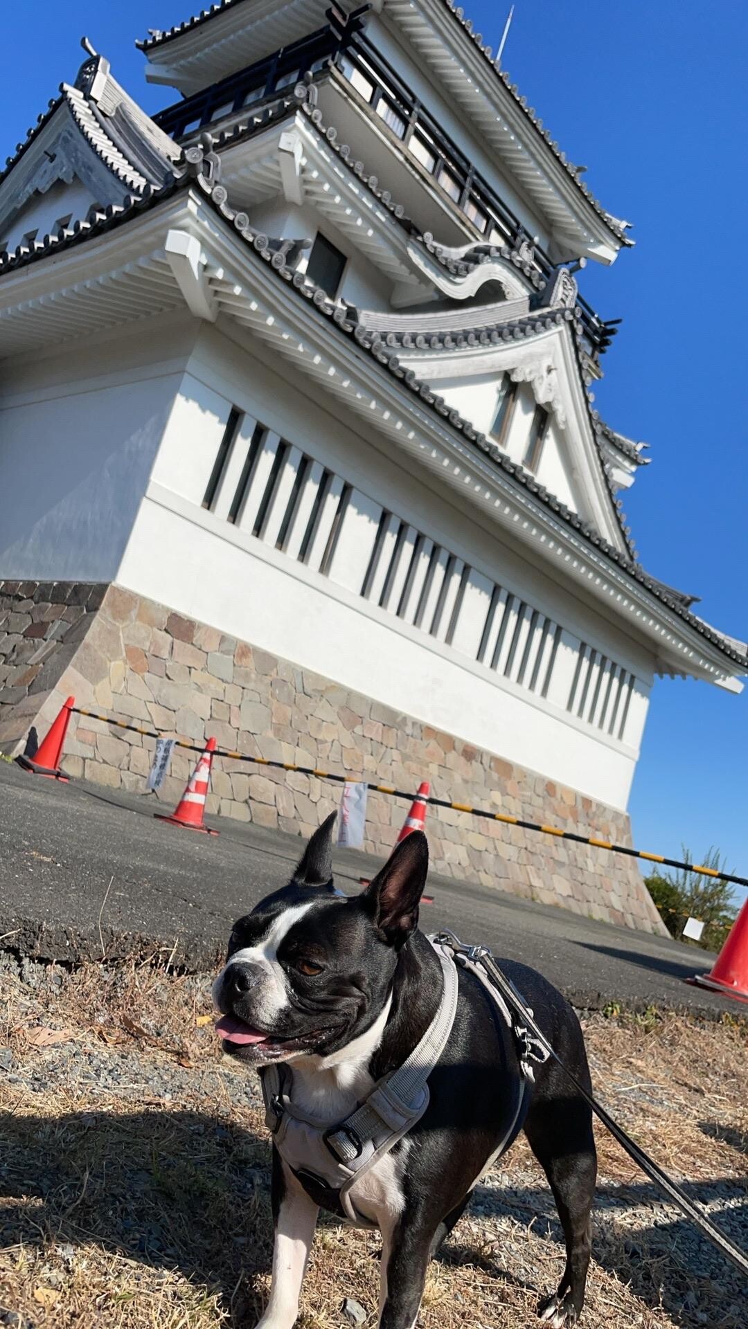牛伏山 / yoheyさんの牛伏山・城山の活動データ | YAMAP / ヤマップ