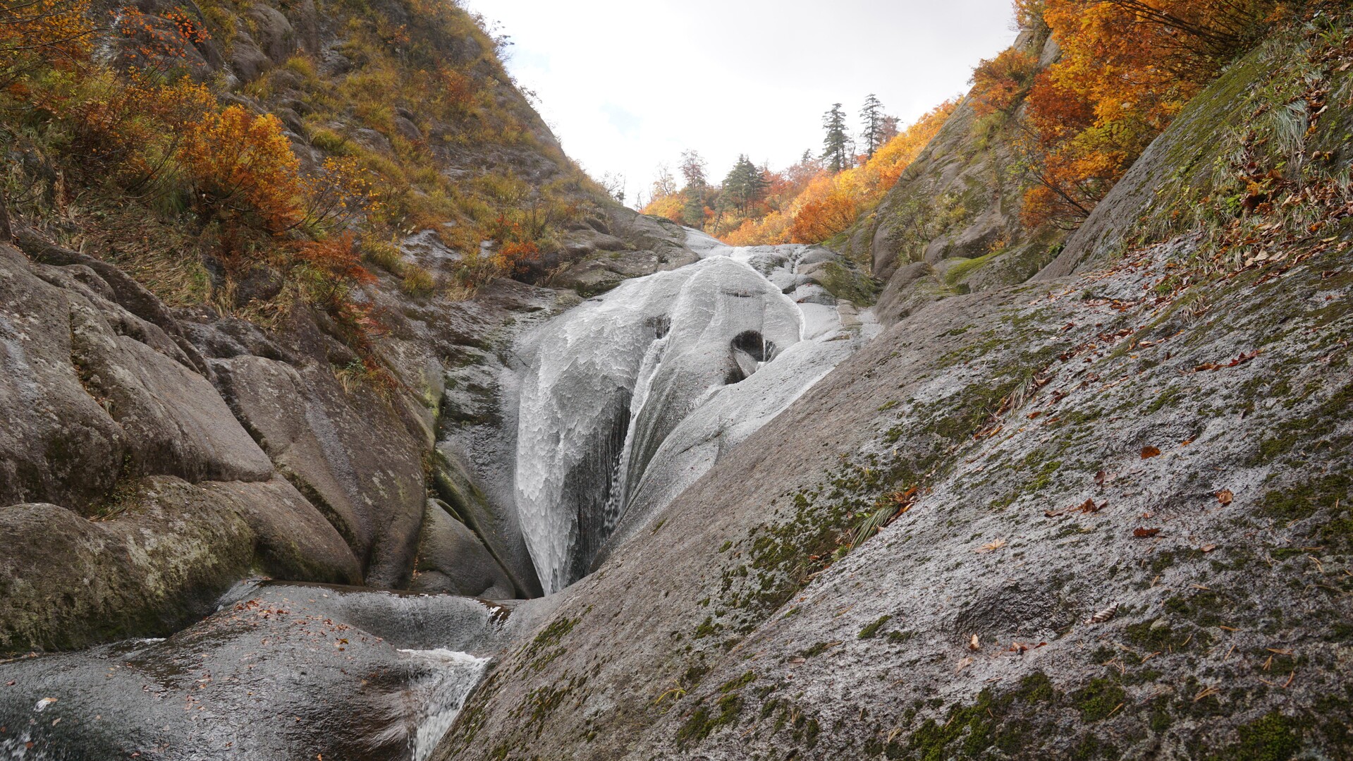 森吉山・桃洞滝-2022-10-20 / パルヤマ（パル山の会）さんの森吉山の活動データ | YAMAP / ヤマップ