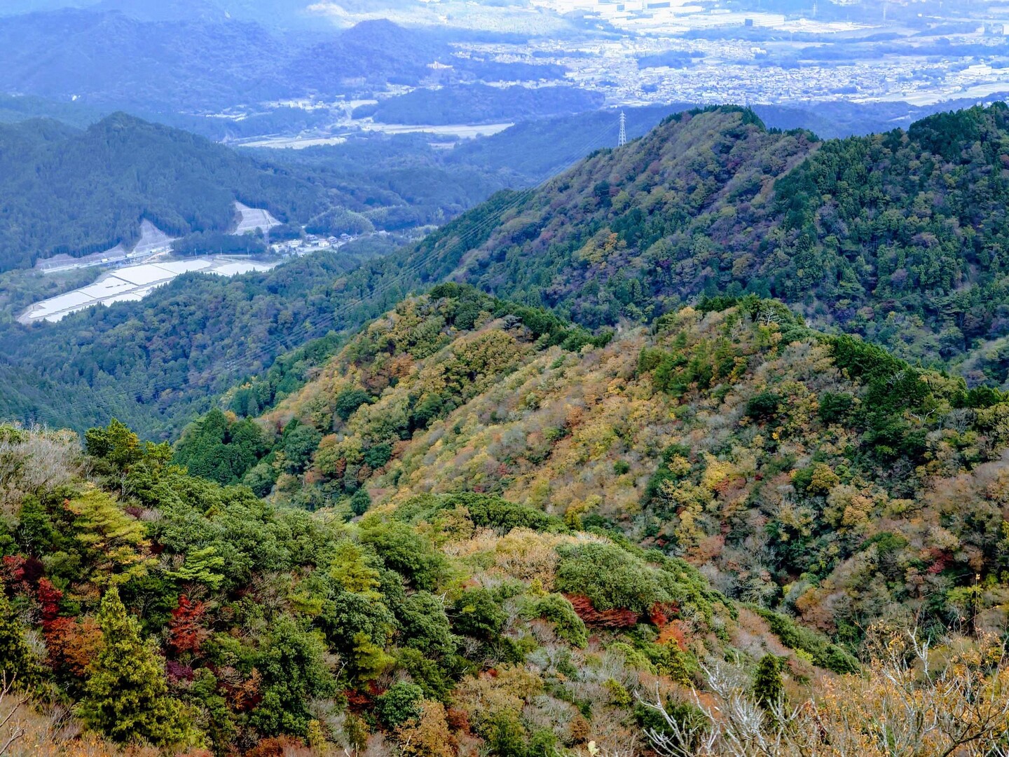 小雀の頭・錫杖ヶ岳しゃくじょうがたけ・柚之木の頭 / kato_archiさんの錫杖ヶ岳の活動データ | YAMAP / ヤマップ