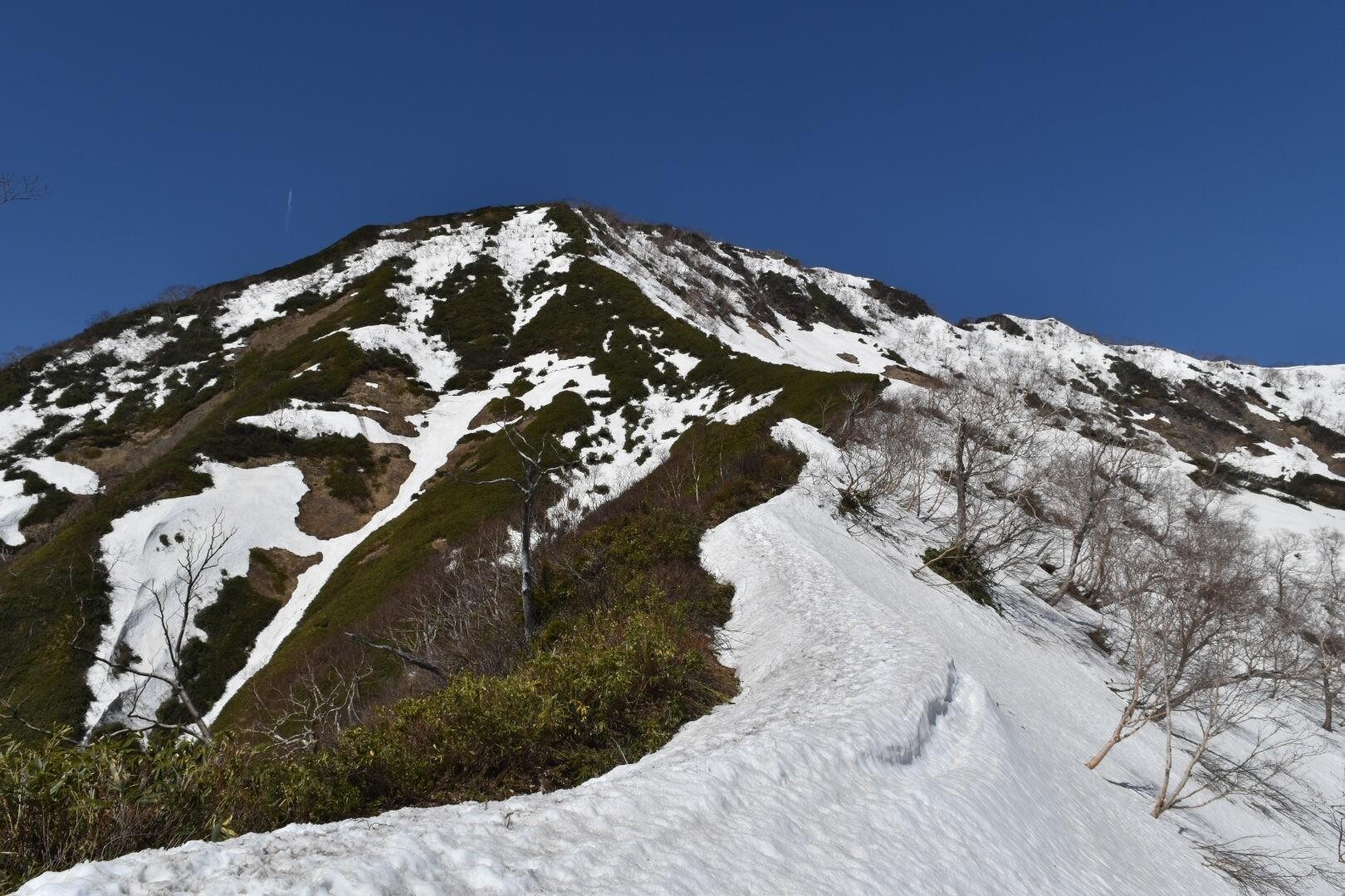 ZKに救助ヘリ🚁色々あった高妻山 〜五地蔵山・高妻山 / おかもうさんの高妻山・戸隠山の活動データ | YAMAP / ヤマップ