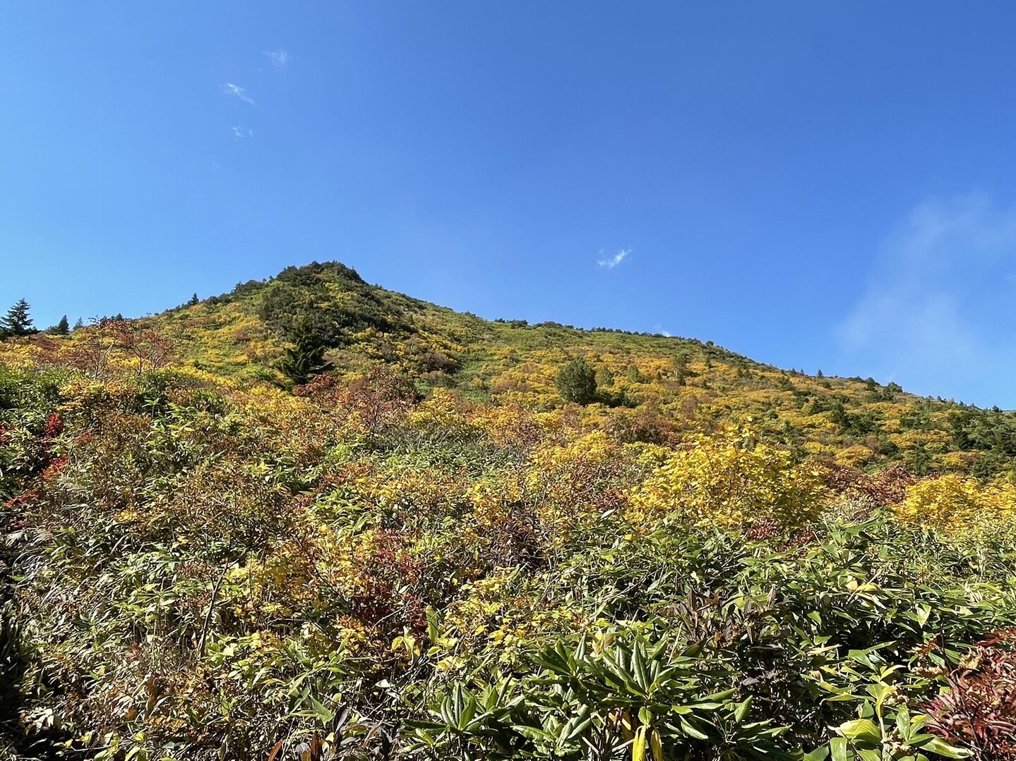 2022.10.06(木) 23:35 / ケロケロ🐸🐸🐸さんのモーメント | YAMAP / ヤマップ
