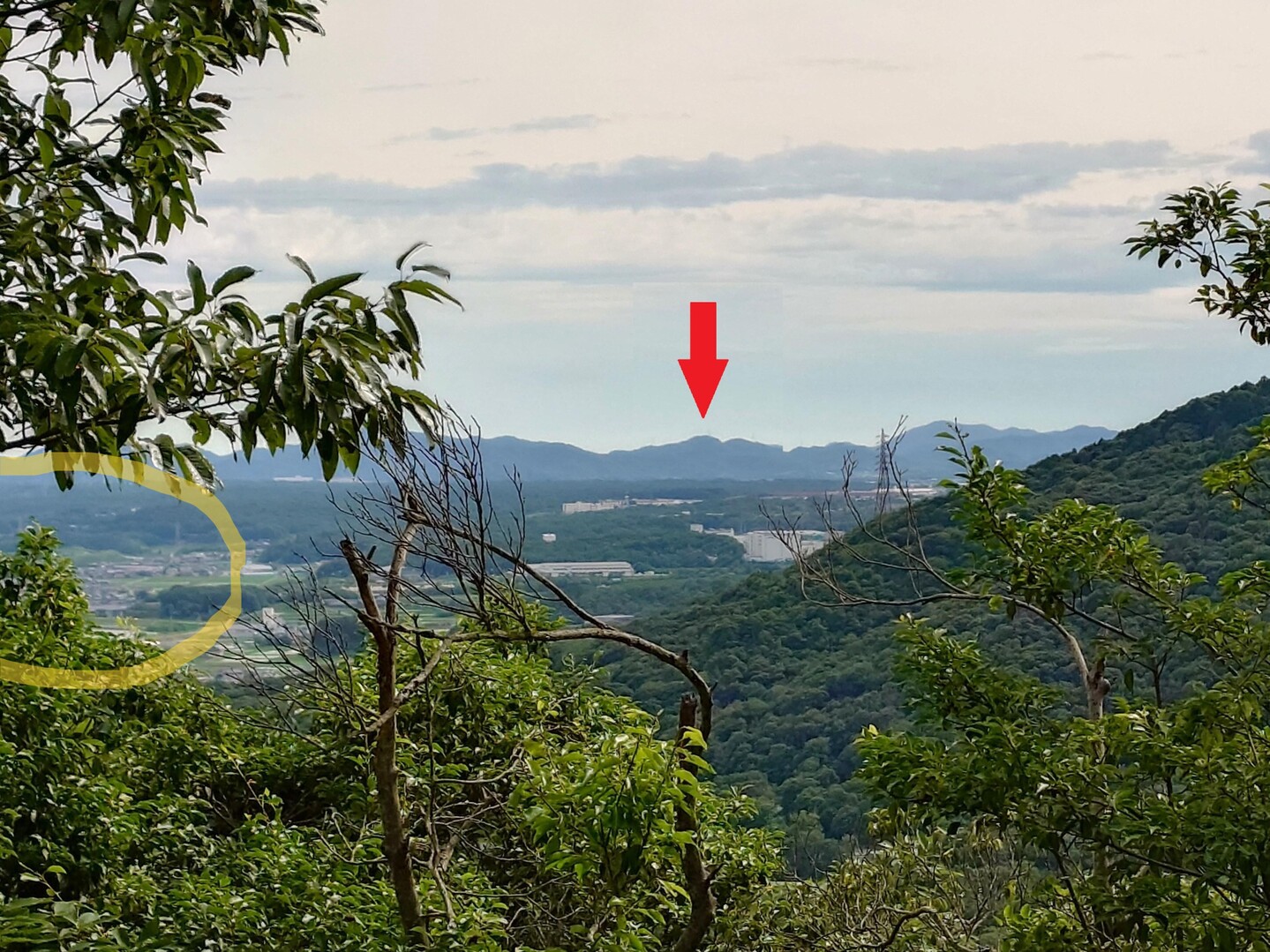 鳴尾山🏳️北播の旗振り山を現地調査 / inamさんの角尾山・五峰山・矢筈山の活動データ | YAMAP / ヤマップ