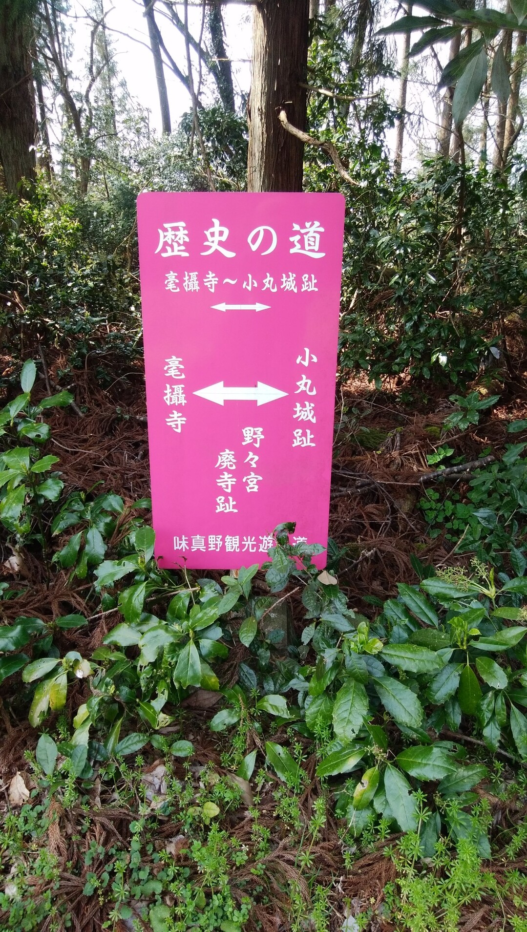 サイクリング 歴史の道 / opal糸さんのランニングの活動データ | YAMAP / ヤマップ