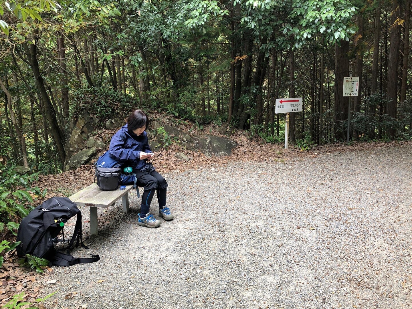 poppoさんの投稿したフィールドメモ | YAMAP / ヤマップ