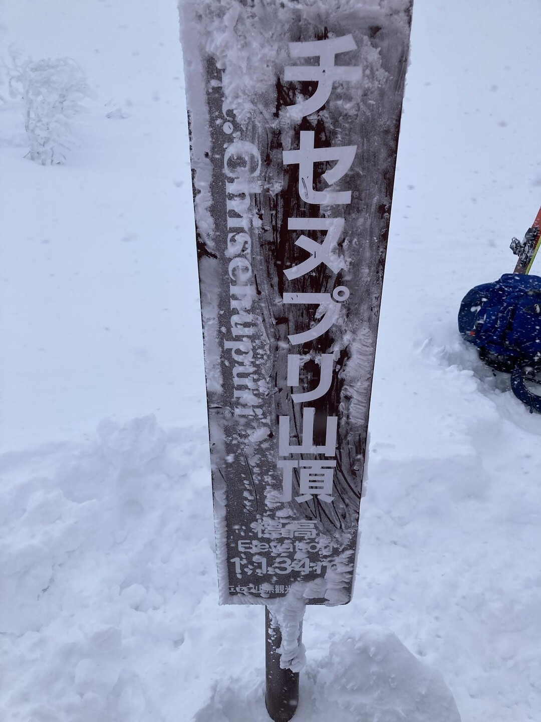 832m峰・チセヌプリ / りゅうさんのニセコアンヌプリ・イワオヌプリ・チセヌプリの活動日記 | YAMAP / ヤマップ