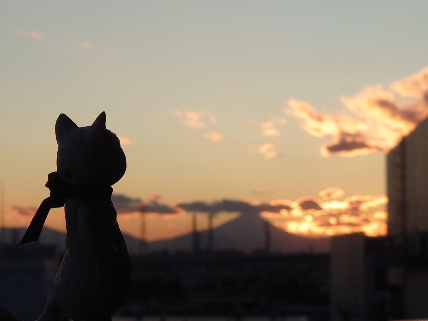 2024.12.31. 大晦日 / makotoさんのモーメント | YAMAP / ヤマップ