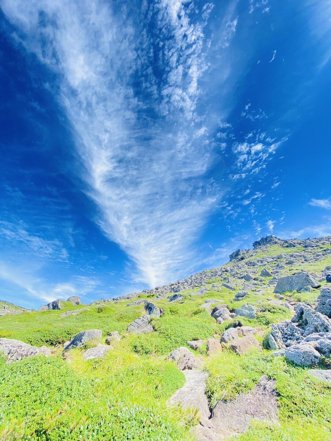 夏の遠征③ 大雪山 その4 トムラウシ山 / Sawaさんの大雪山系・旭岳・トムラウシの活動データ | YAMAP / ヤマップ