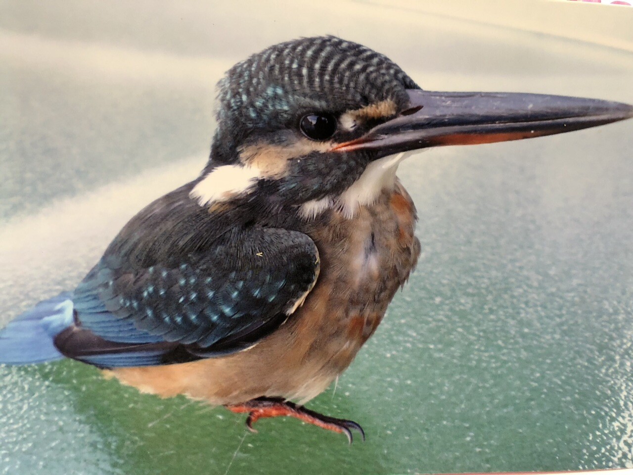 You-kaのページ | YAMAP / ヤマップ