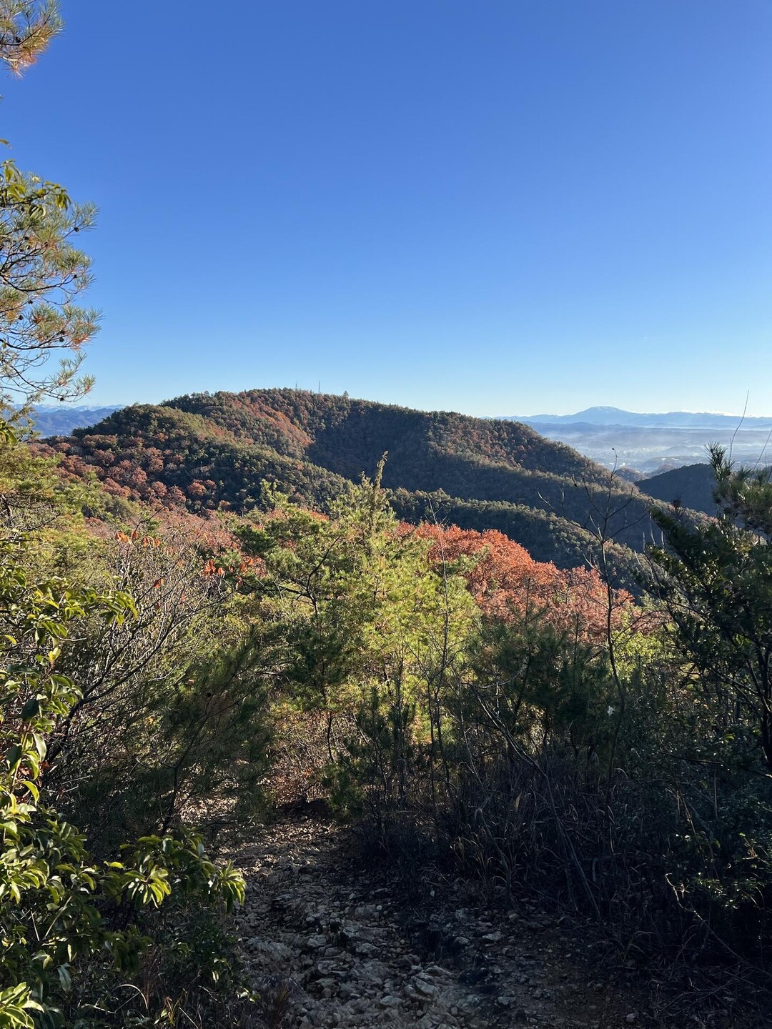 鳩吹セブン‼️😎 / ZO-kunさんの鳩吹山の活動データ | YAMAP / ヤマップ