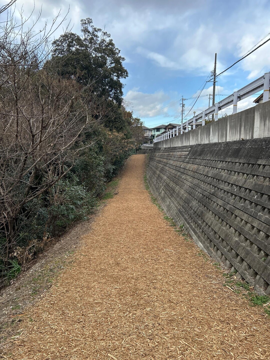御雉子山 / meg♡さんの知多半島（任坊山・本宮山・鍋山）の活動日記 | YAMAP / ヤマップ