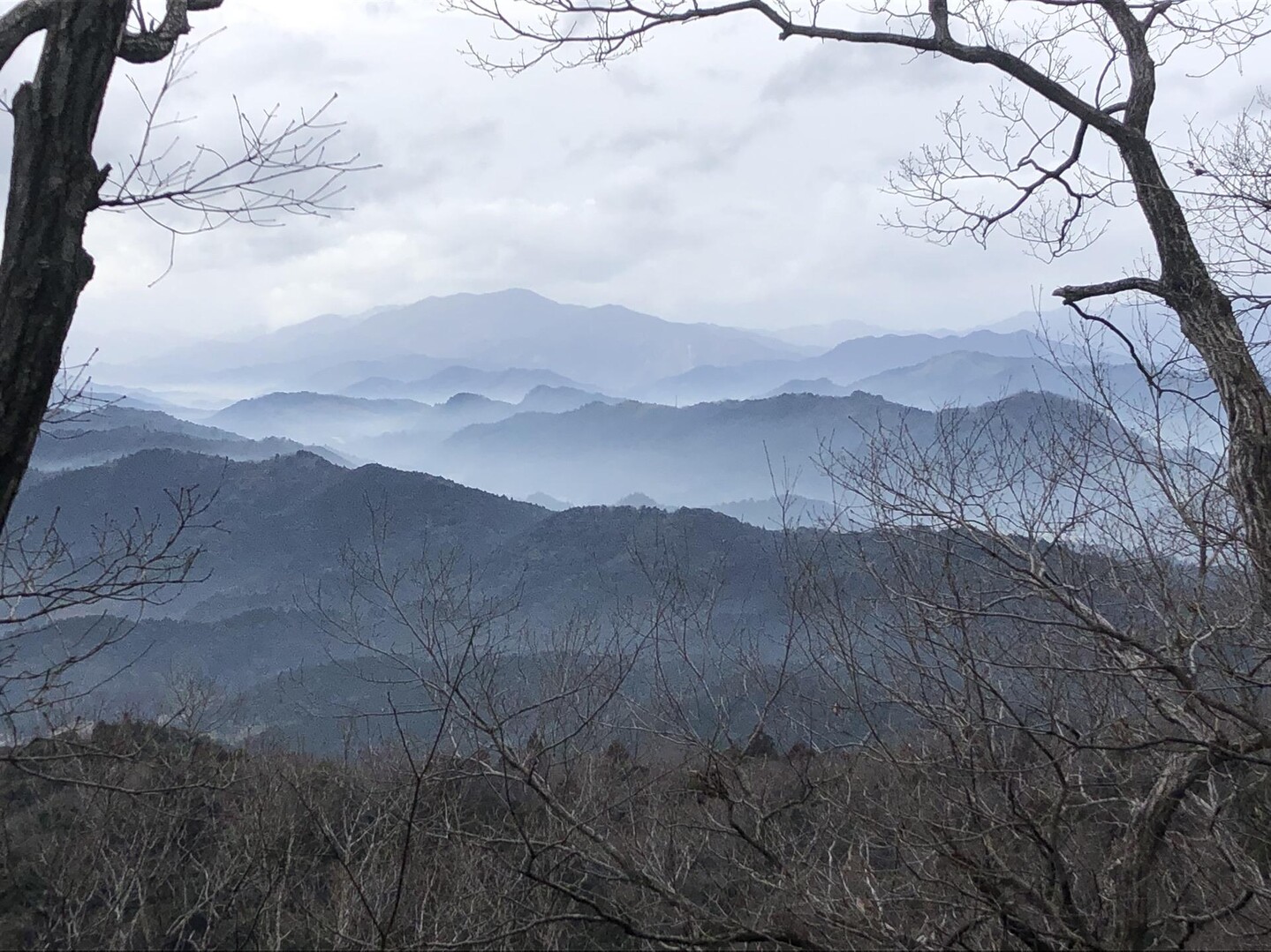 🤩多気の縦走で大量ピークGET‼️ / tuneさんの国束山・大日山の活動データ | YAMAP / ヤマップ