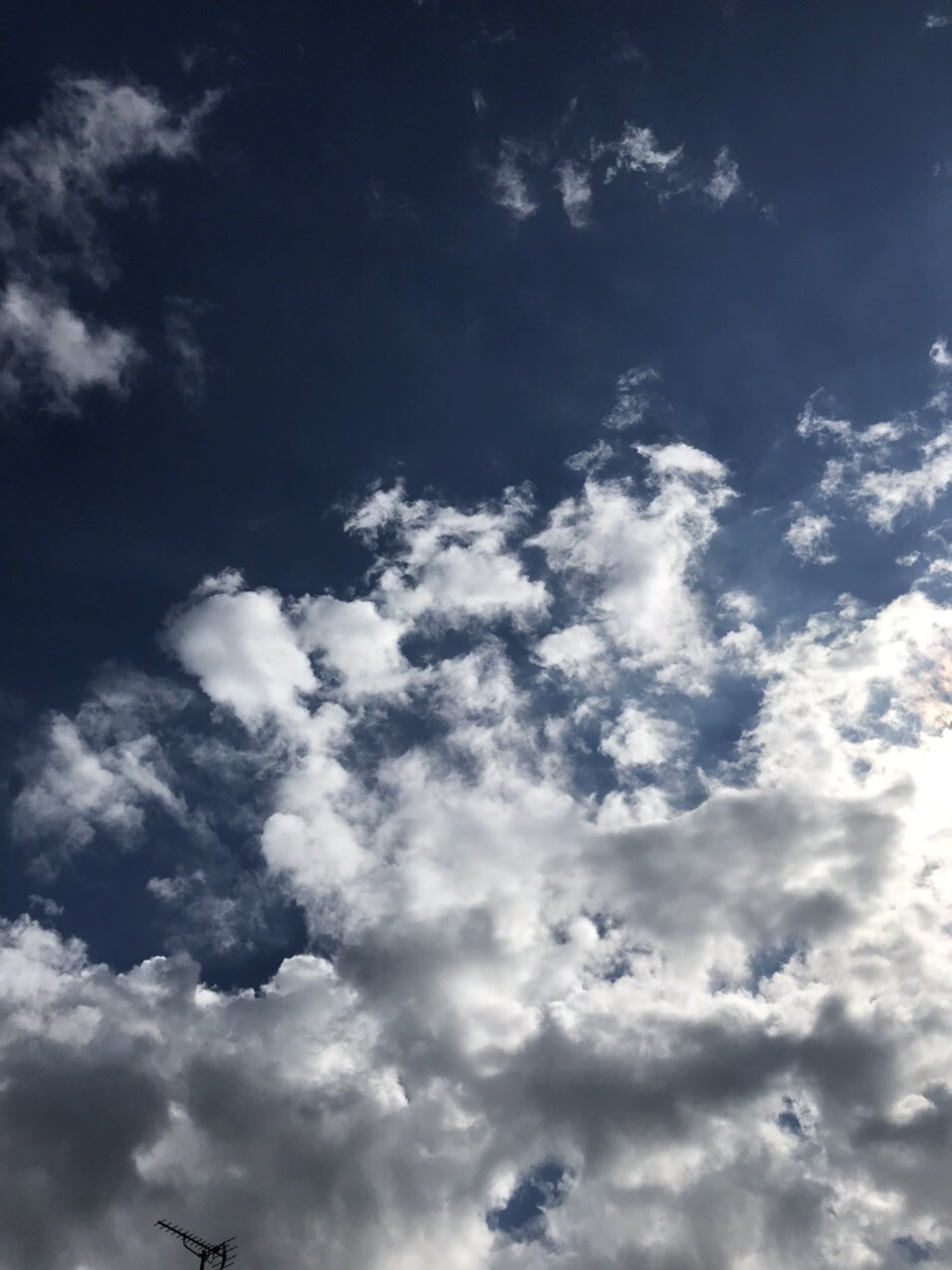 とよのページ | YAMAP / ヤマップ