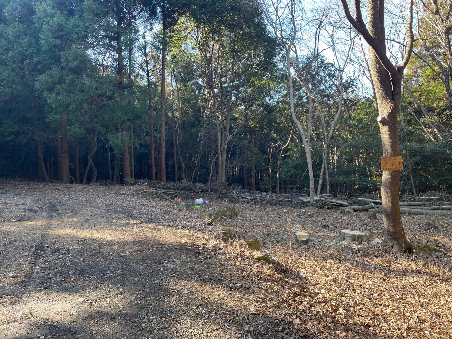 Kさんの投稿したフィールドメモ | YAMAP / ヤマップ