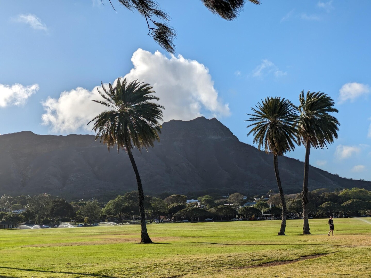 Diamond Head in HAWAII / akoBooさんのダイヤモンドヘッドの活動データ | YAMAP / ヤマップ