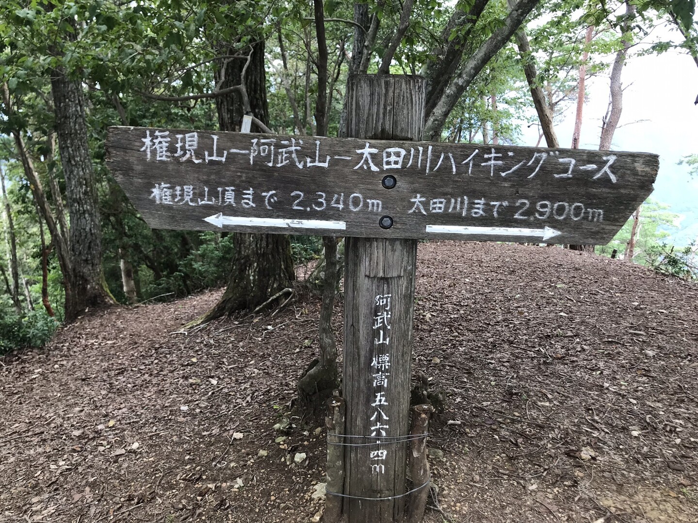 夏山登山‼️〜北阿武山・阿武山・権現山〜 / a.gainさんの阿武山・野登呂山の活動データ | YAMAP / ヤマップ