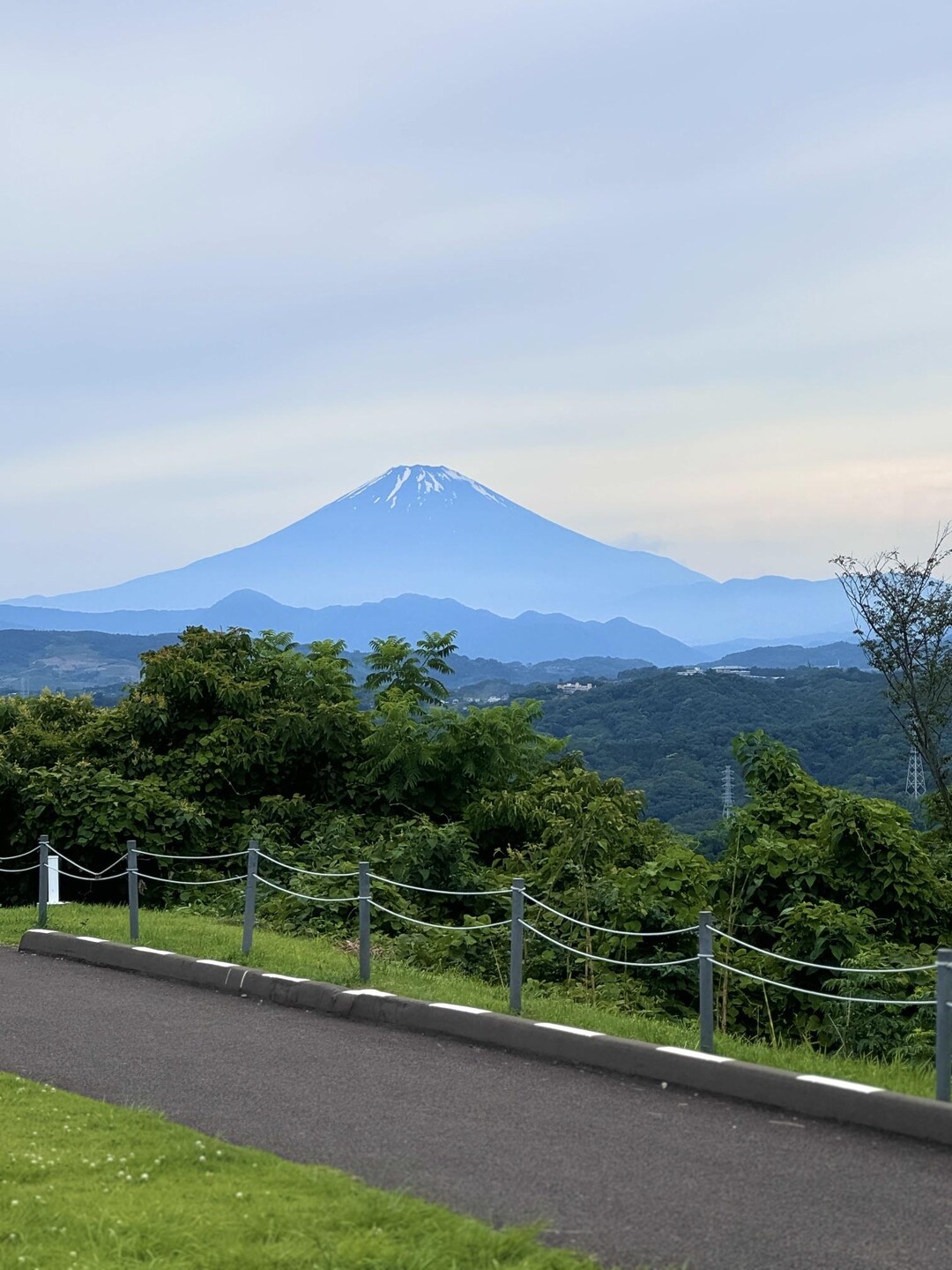 東天照・高麗山・八俵山・浅間山(平塚市・大磯町)・湘南平・羽白山・紅葉山 / syu8_PPさんの高麗山・湘南平・鷹取山の活動データ | YAMAP / ヤマップ