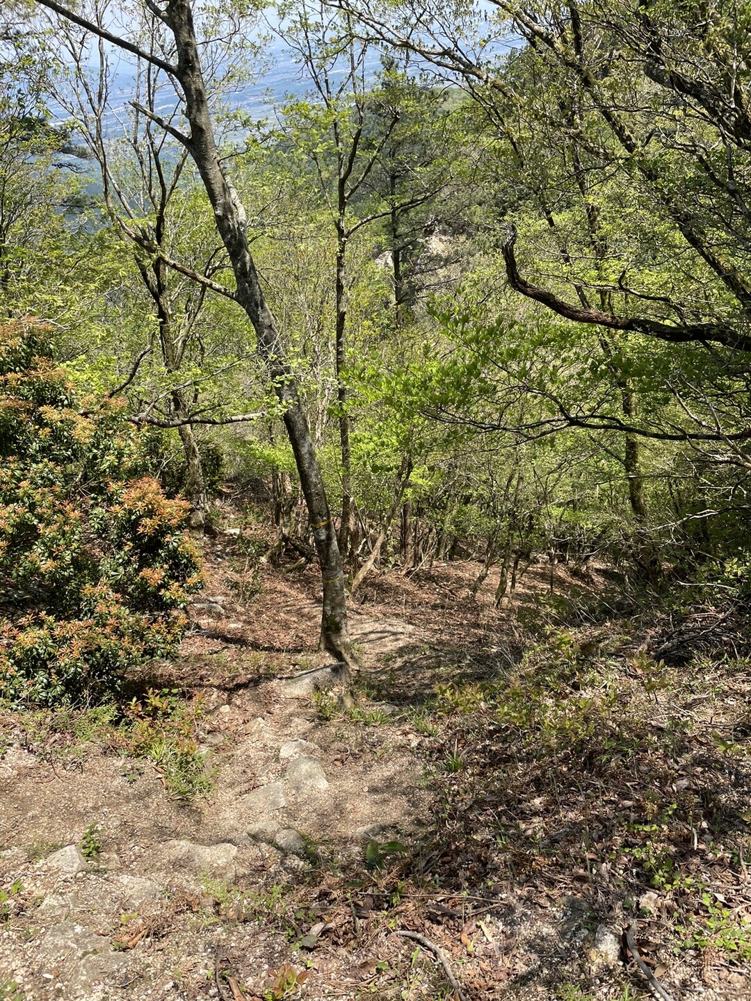 5colors kaori.fさんの投稿したフィールドメモ | YAMAP / ヤマップ