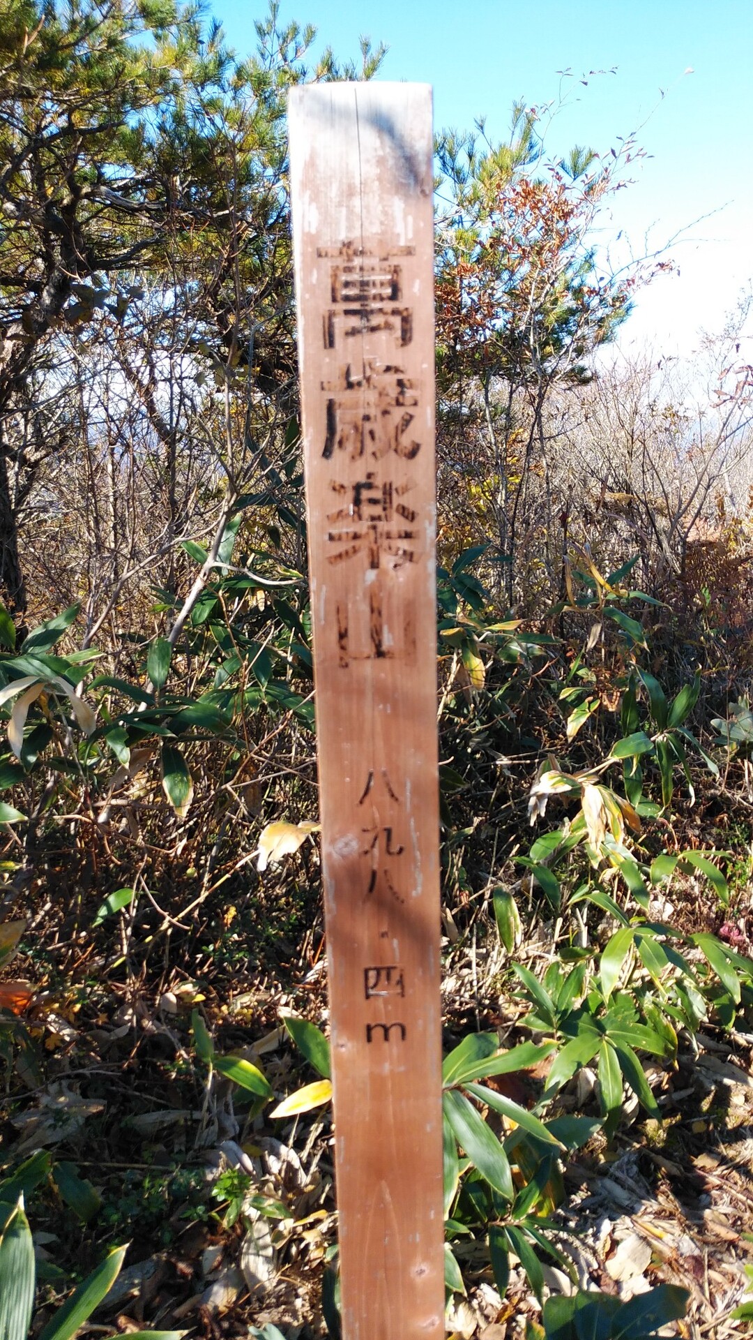 萬歳楽山・半田山 パワースポット🎶 / mi-canさんの半田山・萬歳楽山の活動データ | YAMAP / ヤマップ