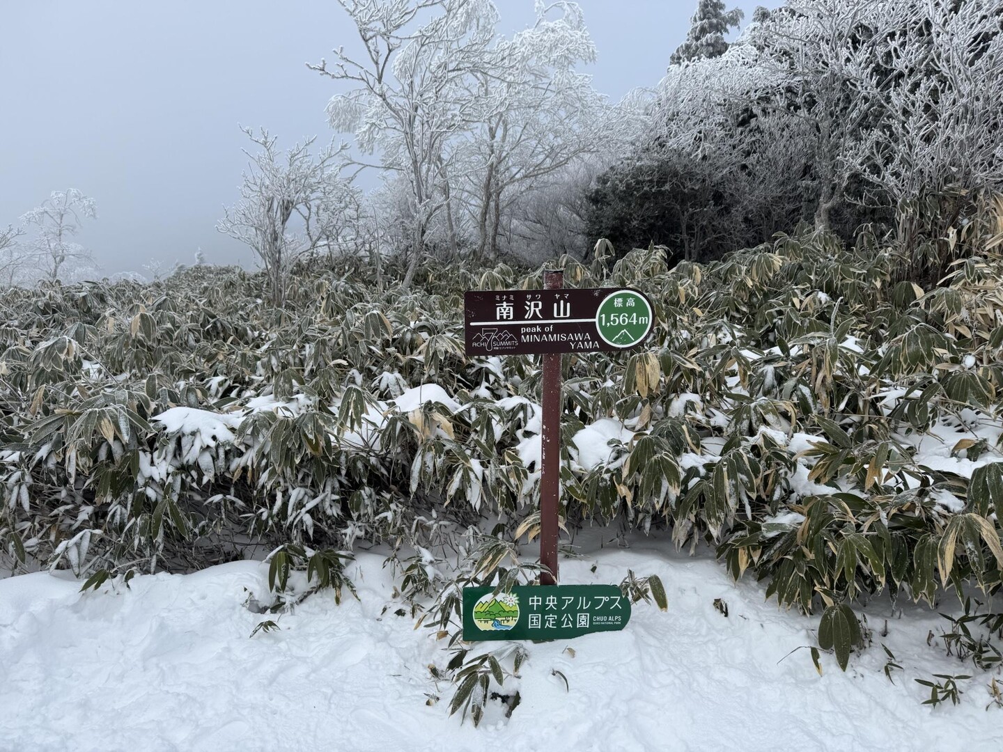 雪の南沢山でクリスマス イブイブイブ / kokoさんの恵那山・大判山・神坂山の活動データ | YAMAP / ヤマップ