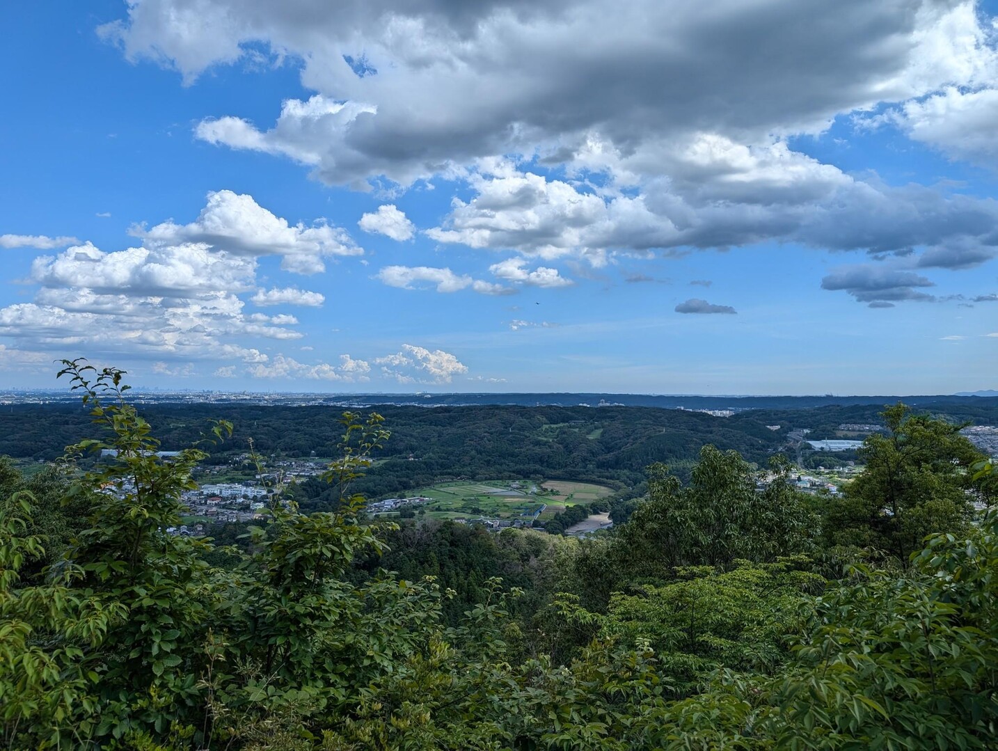 日和田山 女性初心者ソロ登山 / Sachiさんの日和田山・物見山の活動データ | YAMAP / ヤマップ