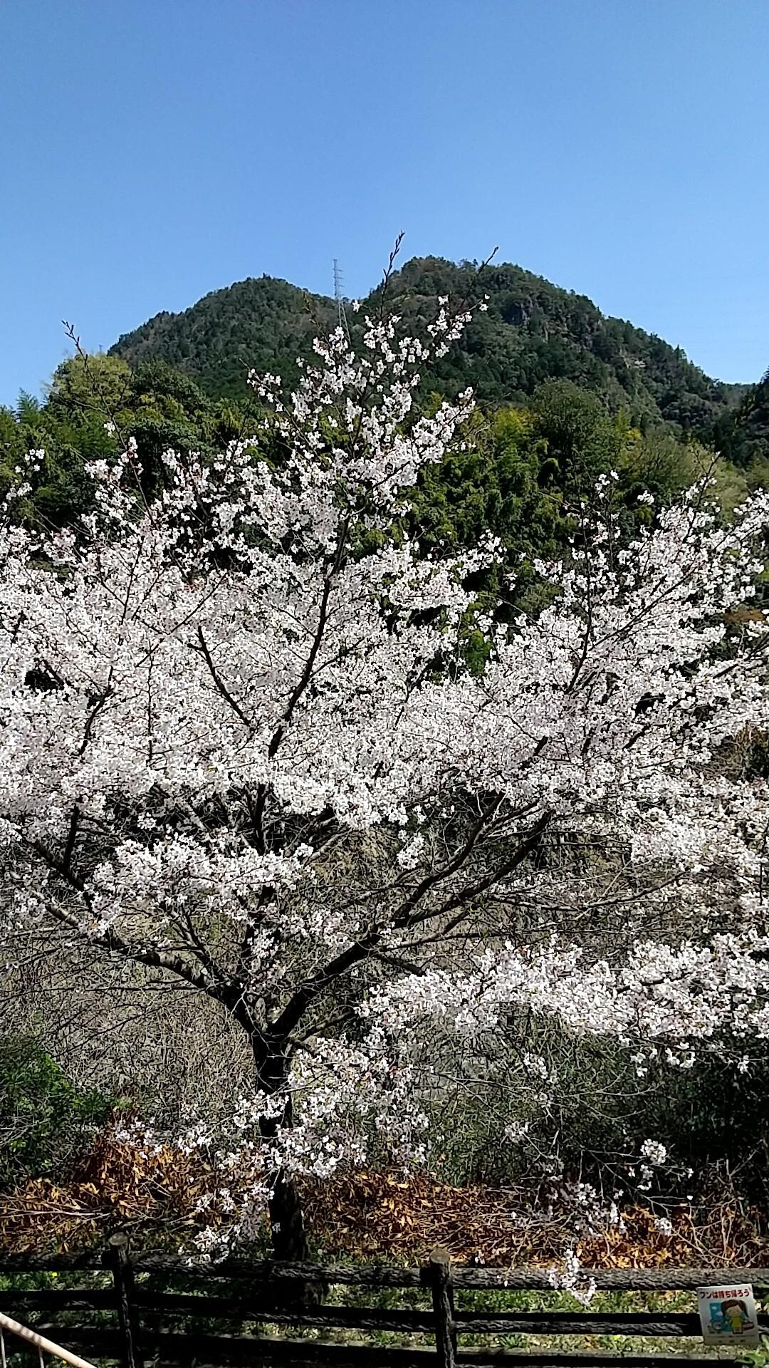 納古山 / ZAKIさんの納古山の活動データ | YAMAP / ヤマップ