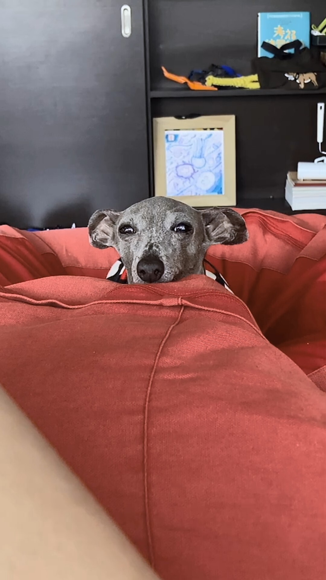 あー山に行きたい😭 ってストレスを 家... / N-saruさんのモーメント | YAMAP / ヤマップ