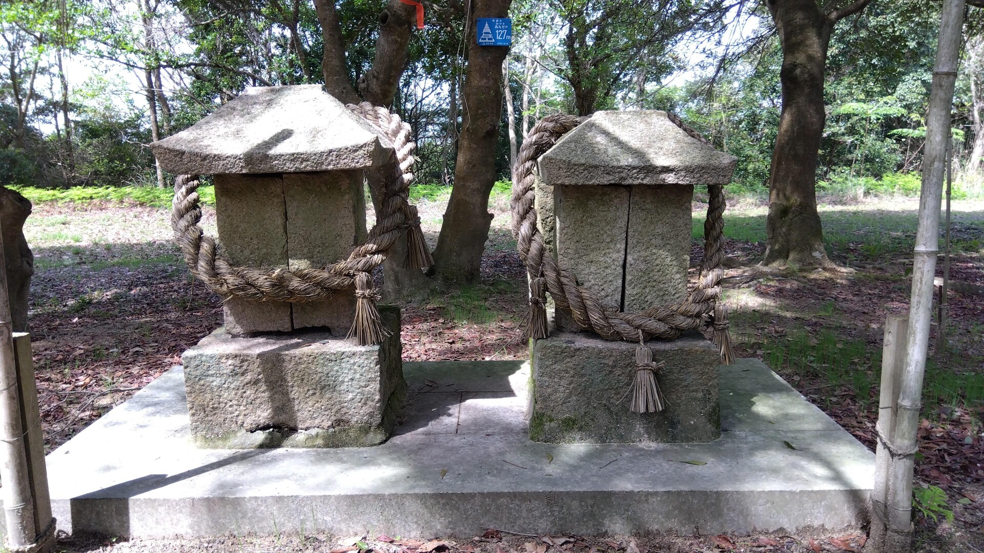 青岳 / yaboo！さんの六畳岩・貝殻山の活動データ | YAMAP / ヤマップ