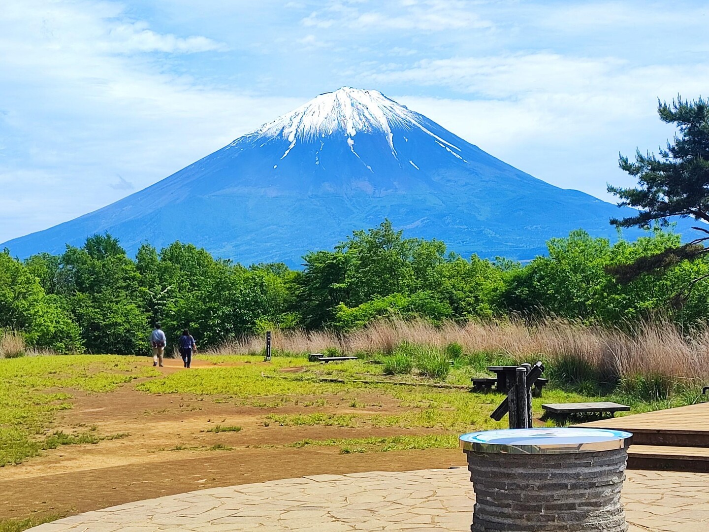 西湖コウモリ穴からの樹海トレイルラン、紅葉台・三湖台 前半6km分データ消失 / ヤマトシさんの節刀ヶ岳・破風山・足和田山の活動日記 | YAMAP / ヤマップ