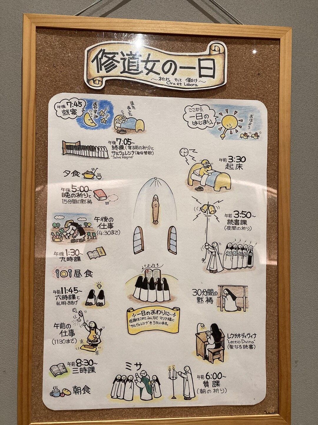 社会人デビューした当時の会社の方々と、コ... / tae0218さんのモーメント | YAMAP / ヤマップ