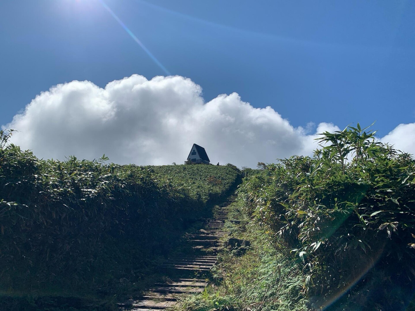 氷ノ山（須賀ノ山） / YAKKOさんの氷ノ山（須賀ノ山）・鉢伏山・瀞川山の活動データ | YAMAP / ヤマップ