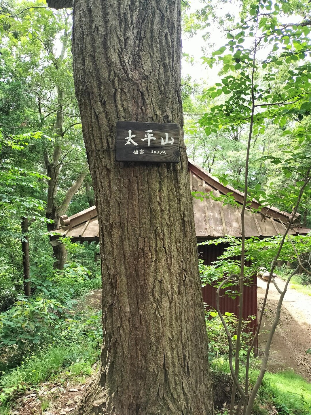 大平山 / naga tomさんの登山の活動データ | YAMAP / ヤマップ