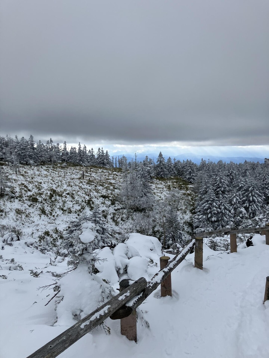 北横岳（南峰）・北横岳（北峰） / Rei-chanさんの蓼科山・横岳・縞枯山の活動データ | YAMAP / ヤマップ
