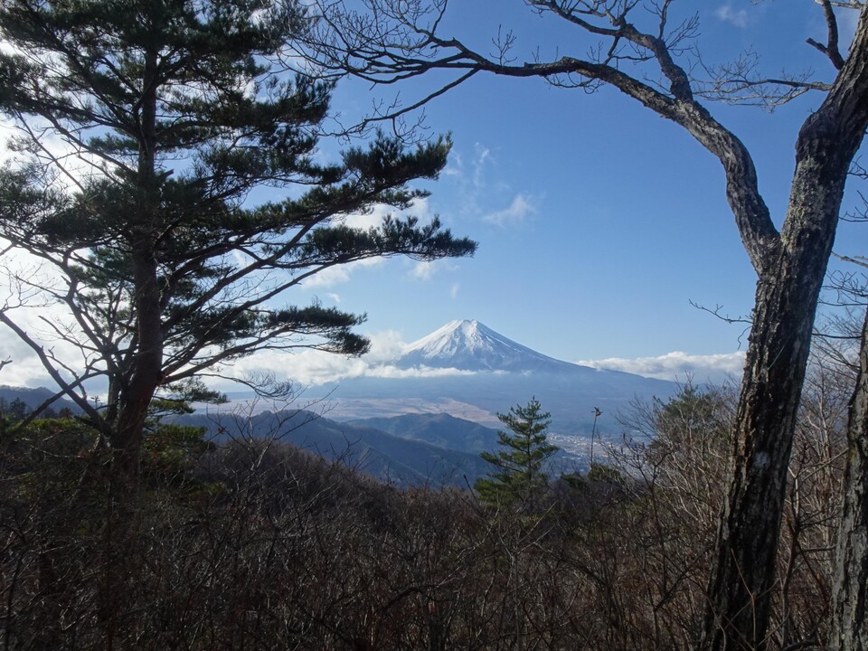 倉見山 縦走コースの地図・登山ルート・登山口情報 | YAMAP / ヤマップ